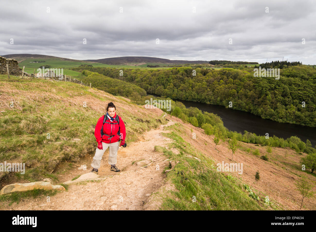 Rambler High Resolution Stock Photography and Images - Alamy