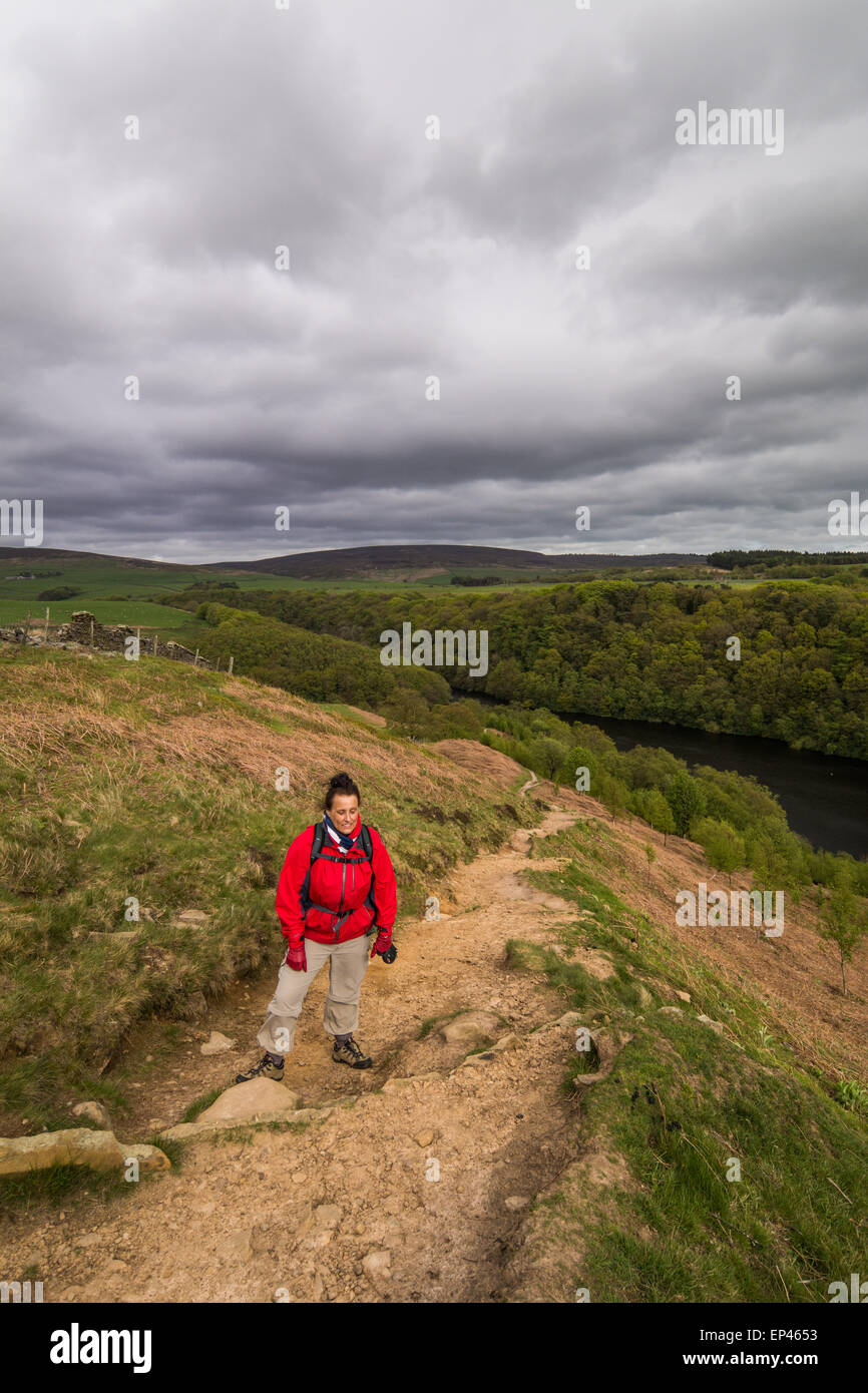 Rambler walking up steep hillside Stock Photo - Alamy