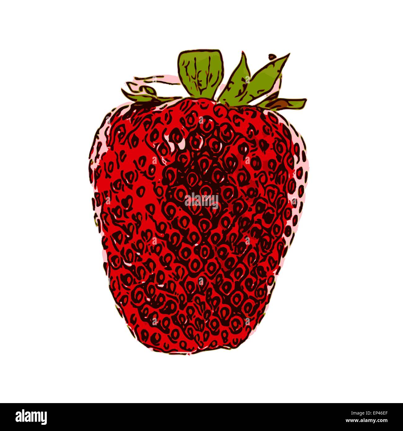 Vibrant cross section of Stock Vector Images - Alamy