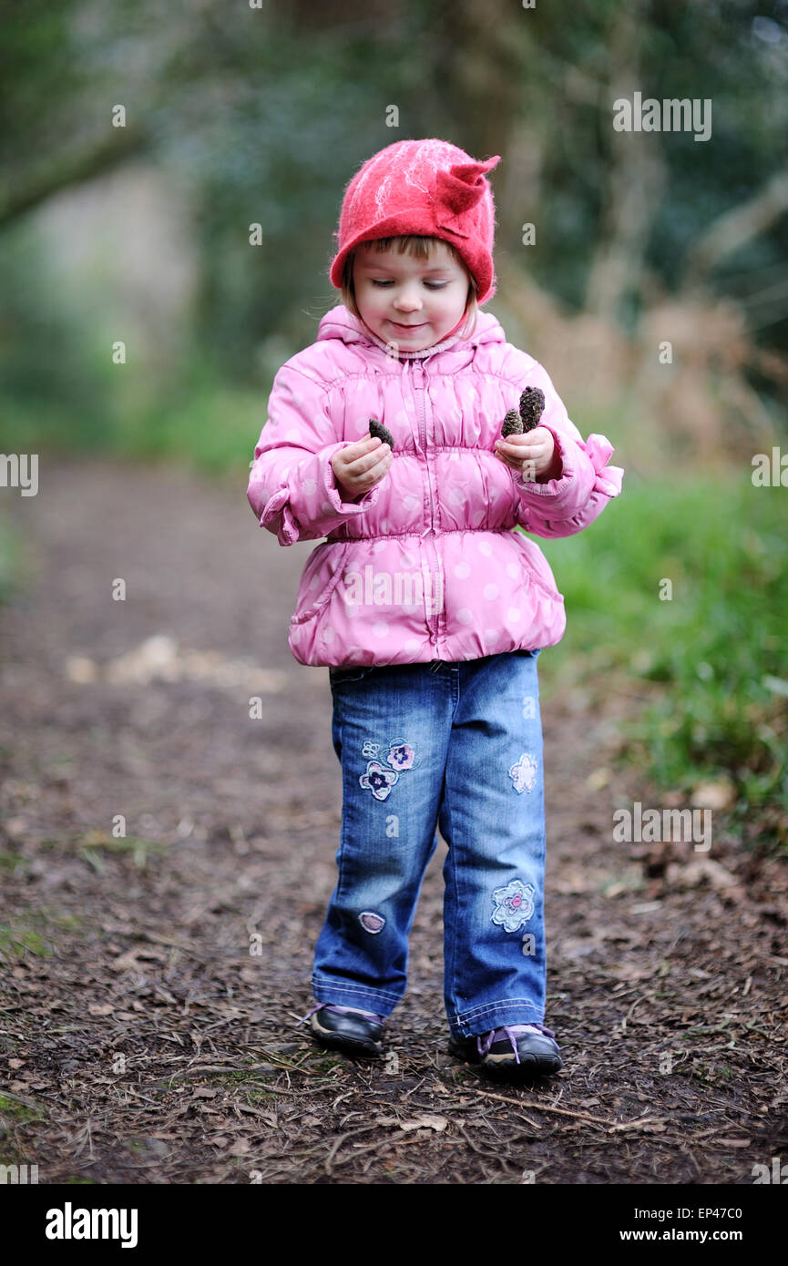 Collecting cones hi-res stock photography and images - Alamy