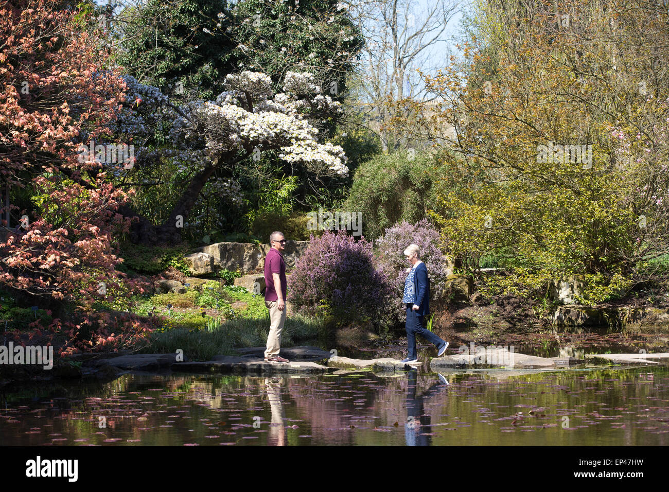 Cambridge botanic garden spring hi-res stock photography and images - Alamy