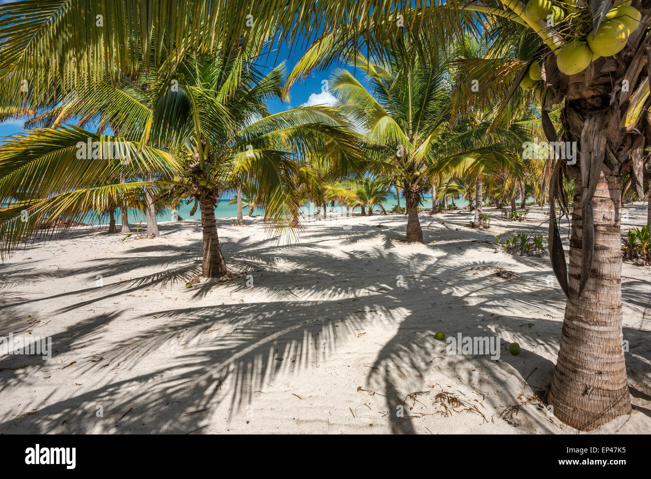 Champotón hi-res stock photography and images - Alamy