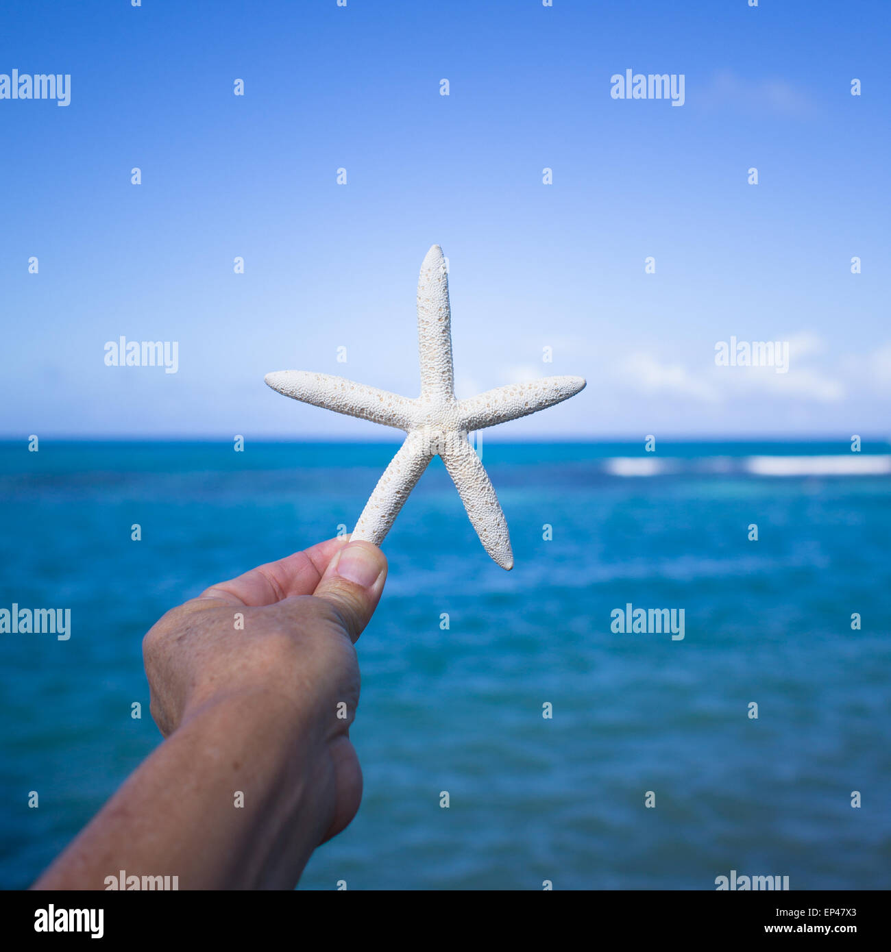 Humans Holding Starfishes
