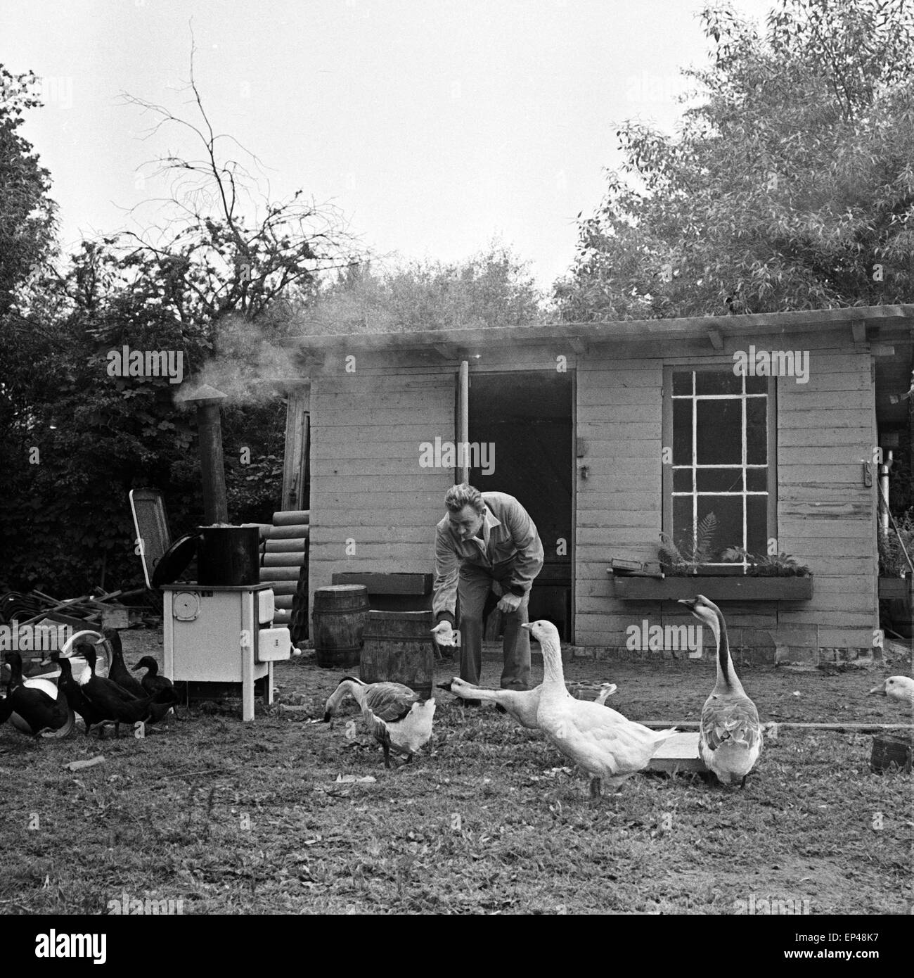 Peter Frankenfeld füttert die Enten auf dem Grundstück des Hauses ...