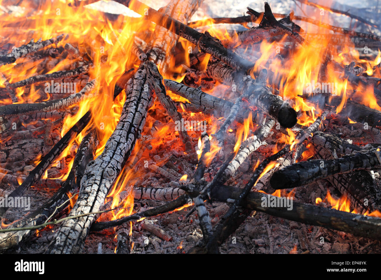 a big fire in the forest Stock Photo - Alamy
