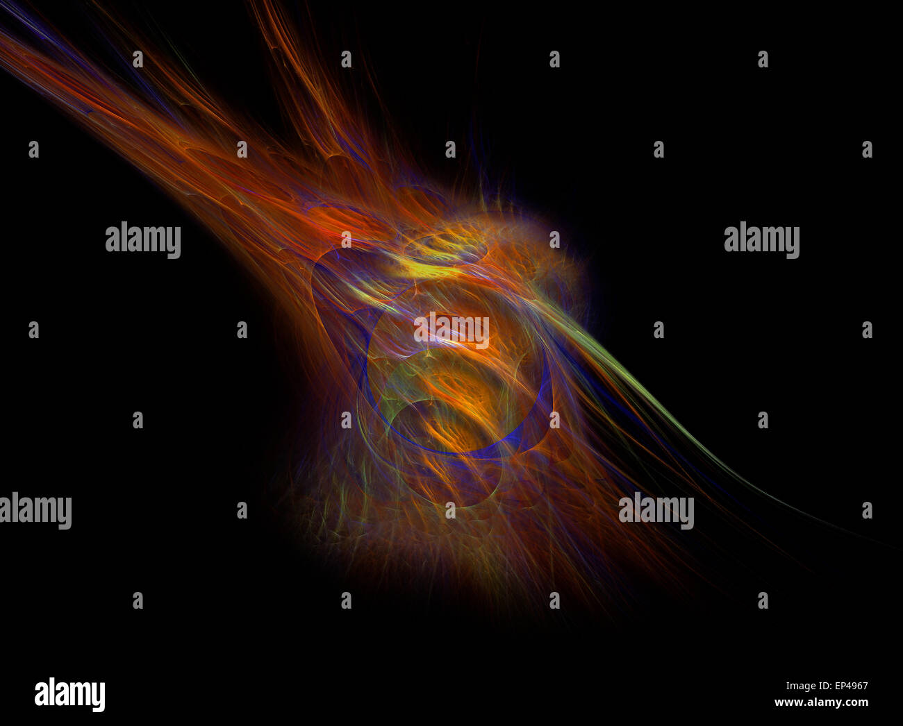 Bird symmetry hi-res stock photography and images - Alamy