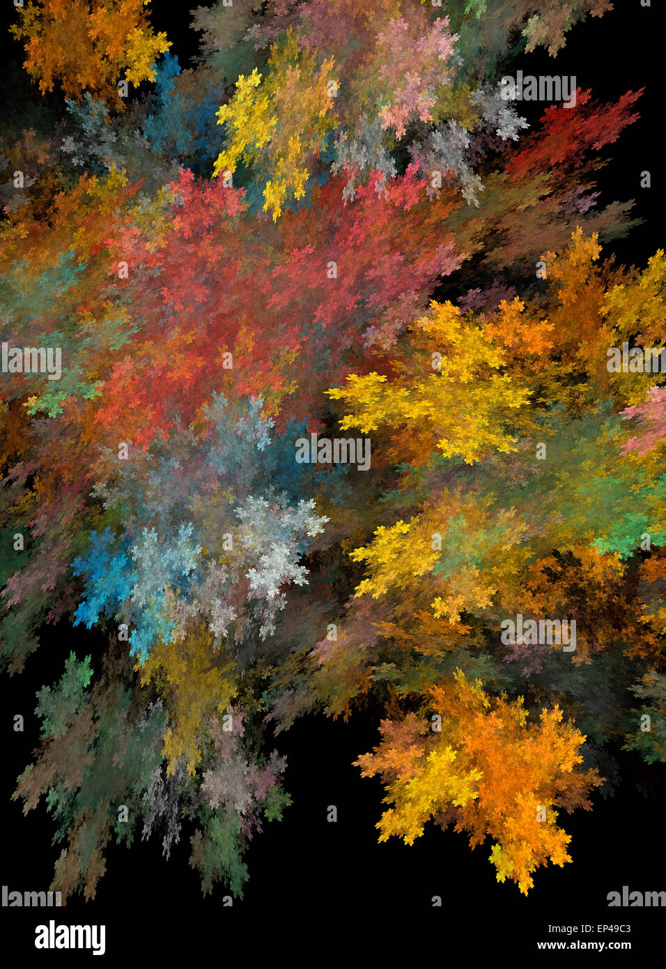 Multi Coloured Leaves Stock Photo - Alamy