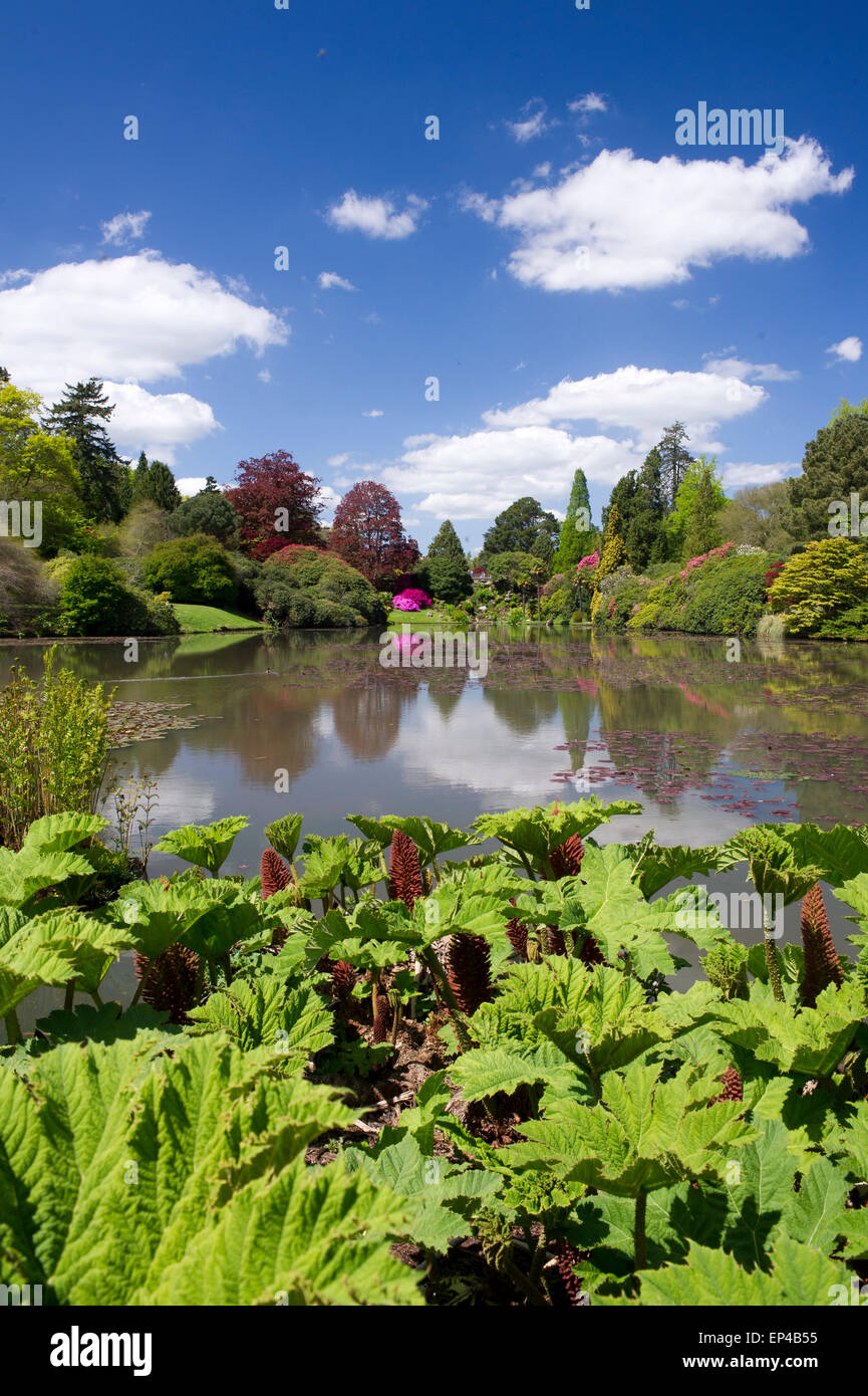 Sheffield park hi-res stock photography and images - Alamy