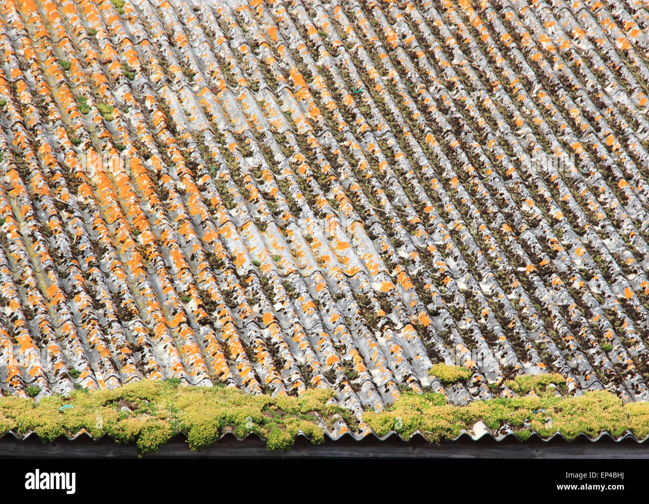 Weed texture hi-res stock photography and images - Alamy