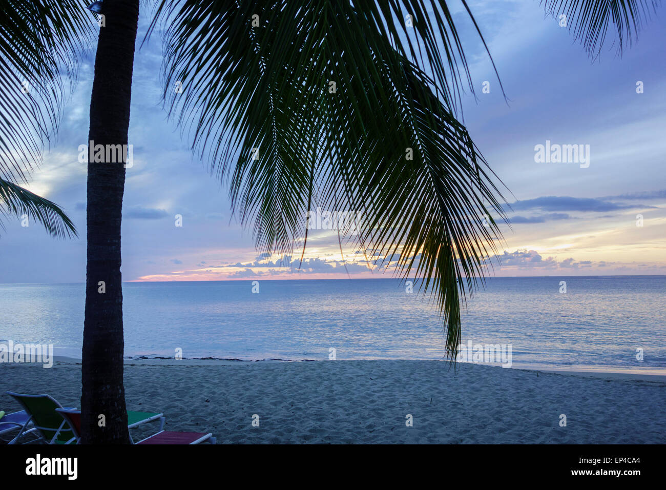 Sandcastle Beach at dawn, showing the sea and a palm tree. St. Croix, U ...