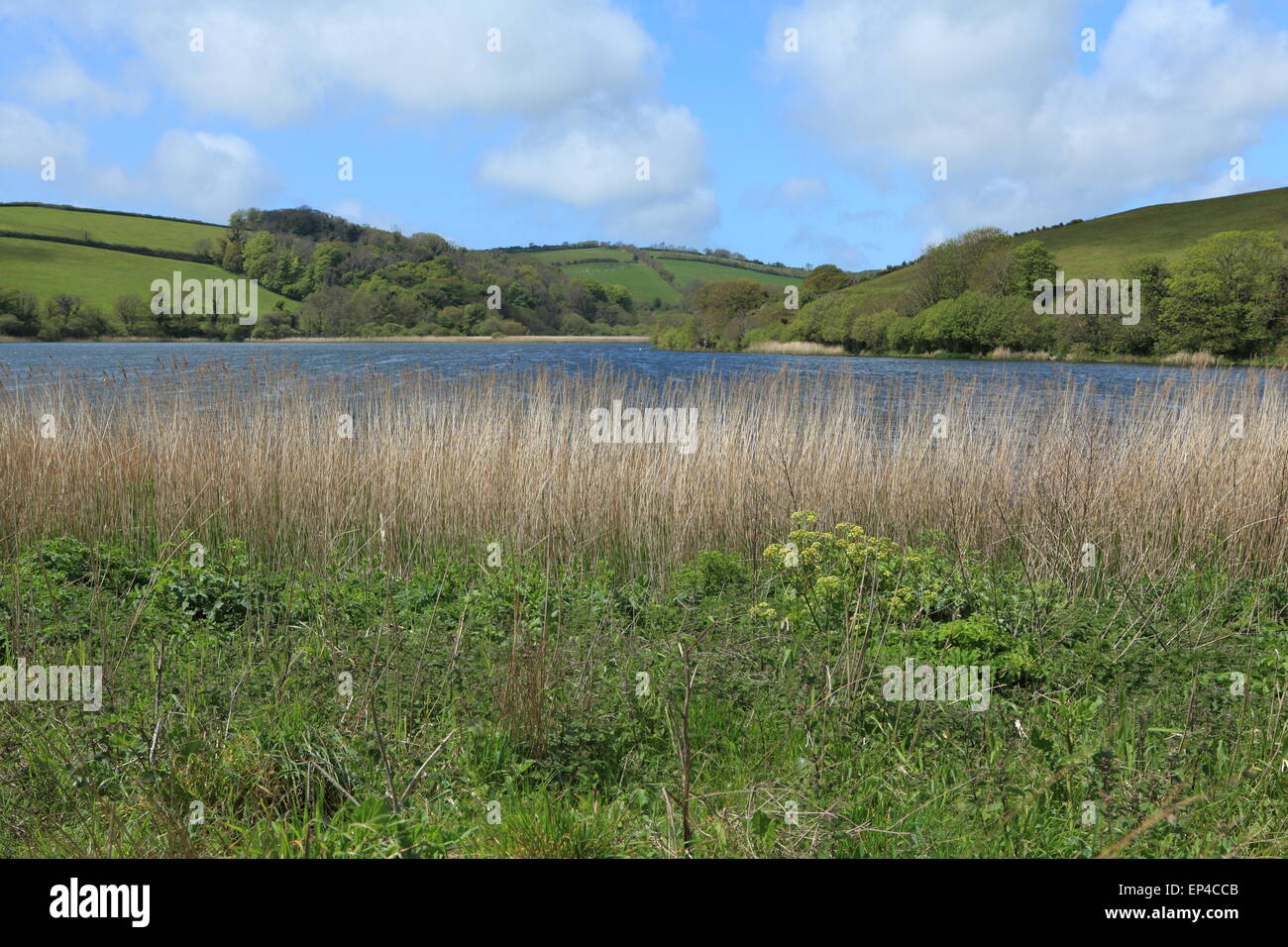 Slapton Ley - nature reserve, South Hams, Devon, England, UK Stock ...