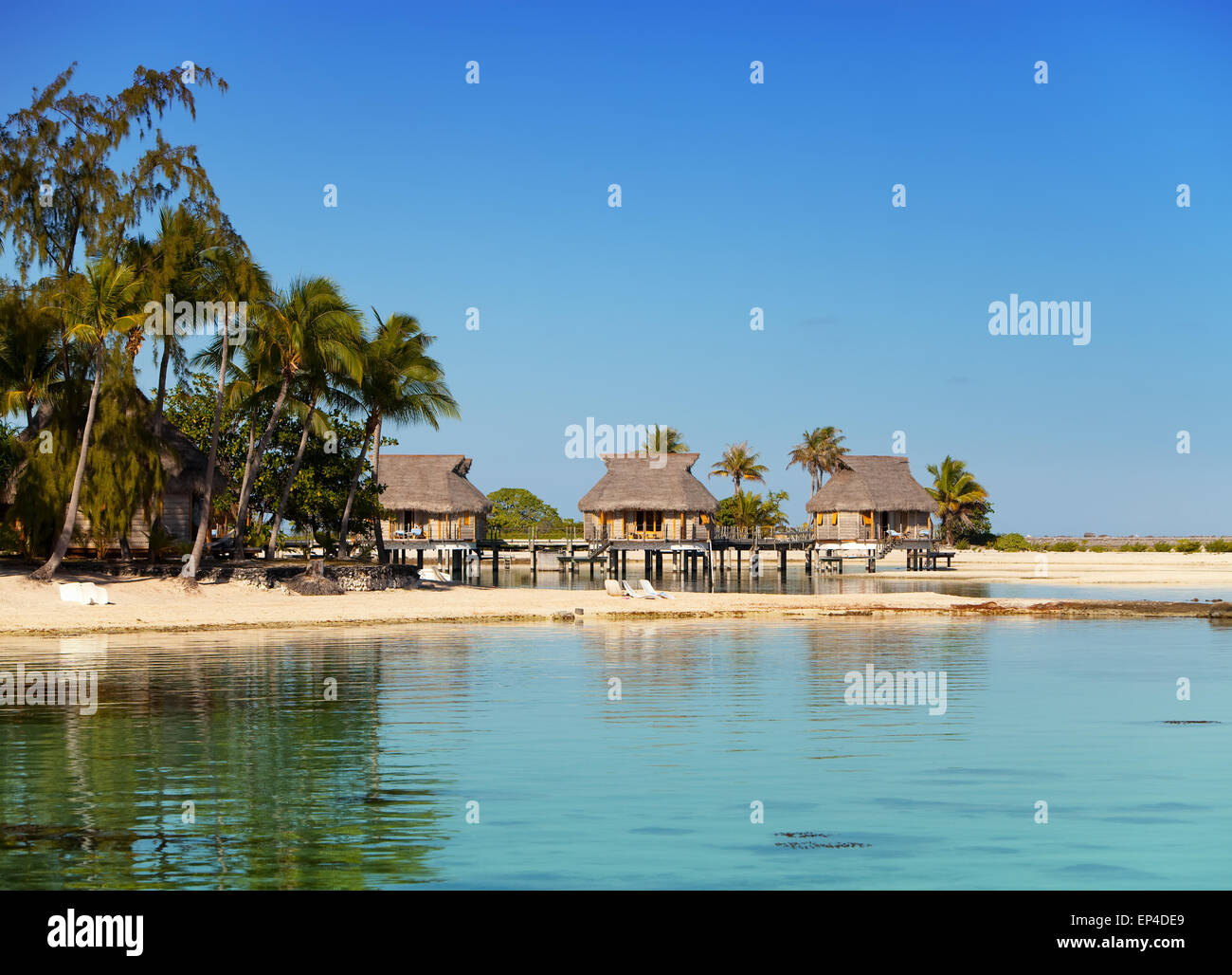seacoast with palm trees and small houses on water Stock Photo - Alamy