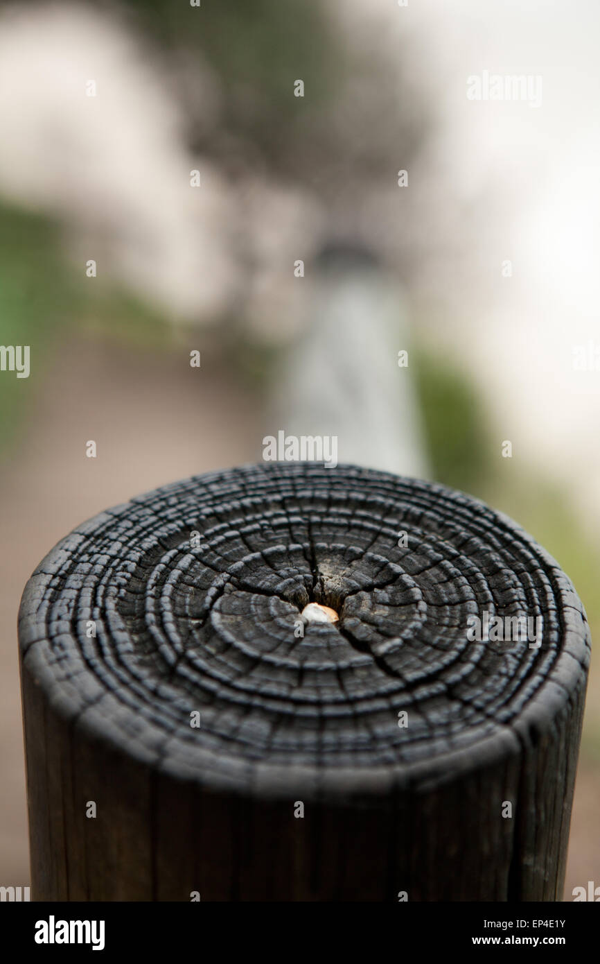 Detail shot of a log post on a hike in Australia Stock Photo - Alamy