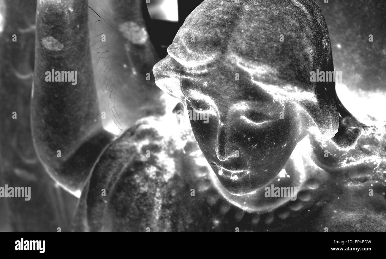 Close up of stone angel in the cemetery Stock Photo - Alamy