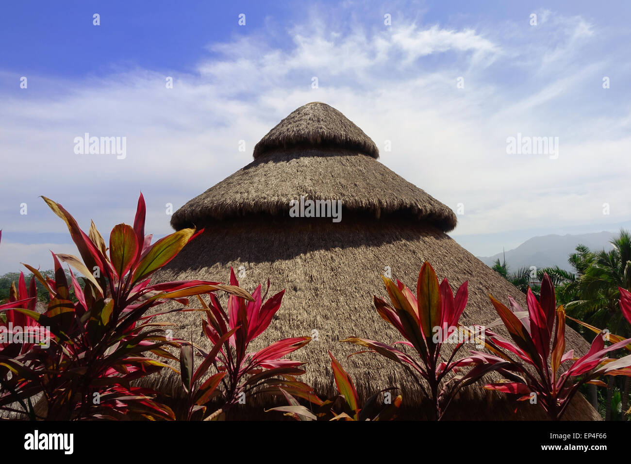 Multilevel thatched roof, Fiesta Americana resort, Puerto Vallarta ...