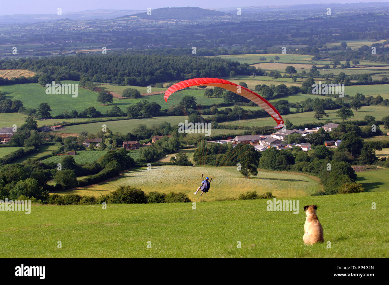 A red paraglider pilot soars over the Dorset countryside.a UK fly flys ...