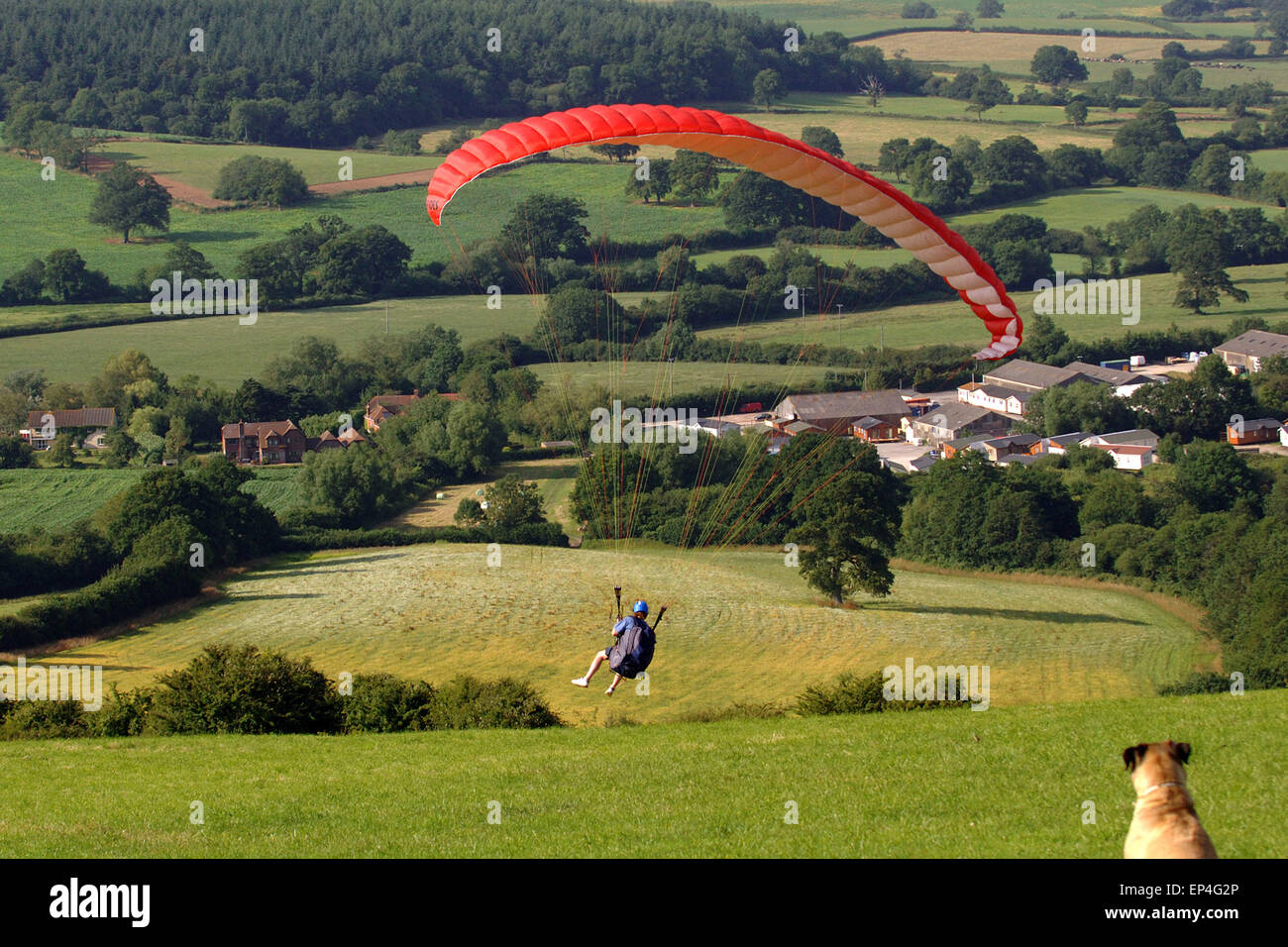 A red paraglider pilot soars over the Dorset countryside.a UK fly flys ...