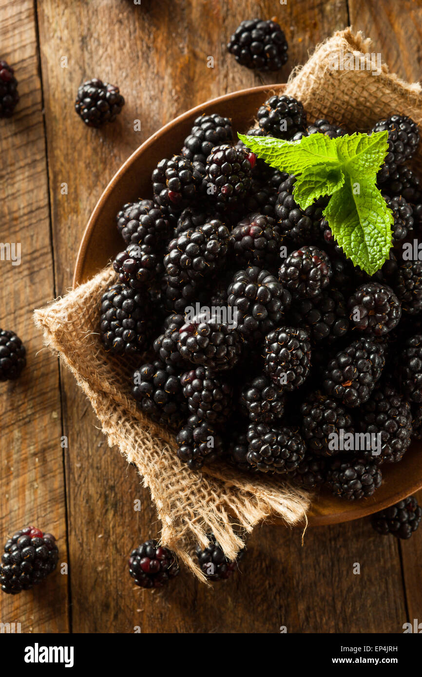 Blackberries In A Bowl High Resolution Stock Photography and Images - Alamy