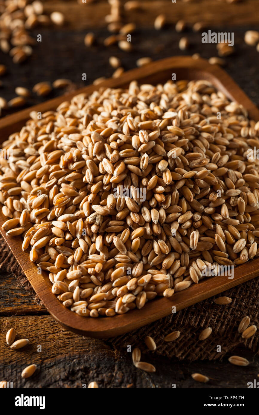 Whole spelt grain hi-res stock photography and images - Alamy