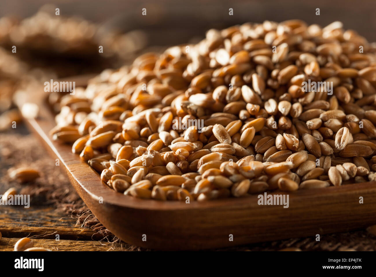 Raw Organic Spelt Grain in a Bowl Stock Photo - Alamy