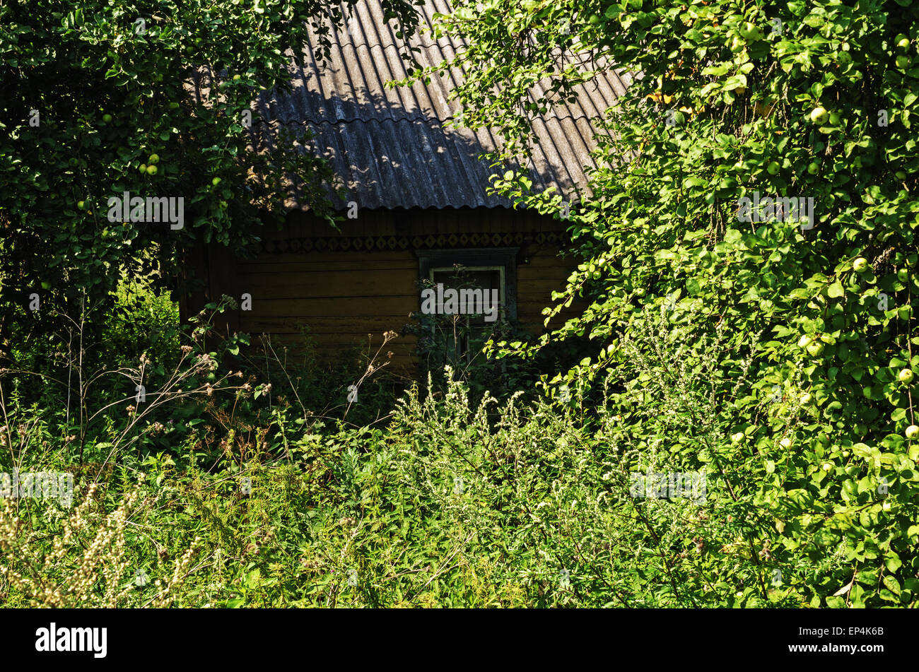Village landscape - old house, shadows and garden Stock Photo - Alamy