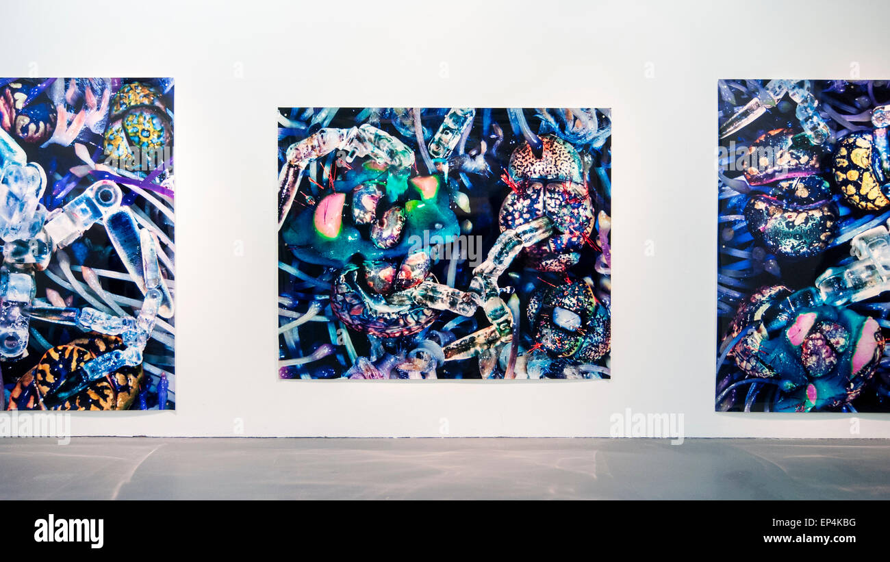 FILE: The winner of the Catlin Art Prize 2015 was named as Zhu Tian ...