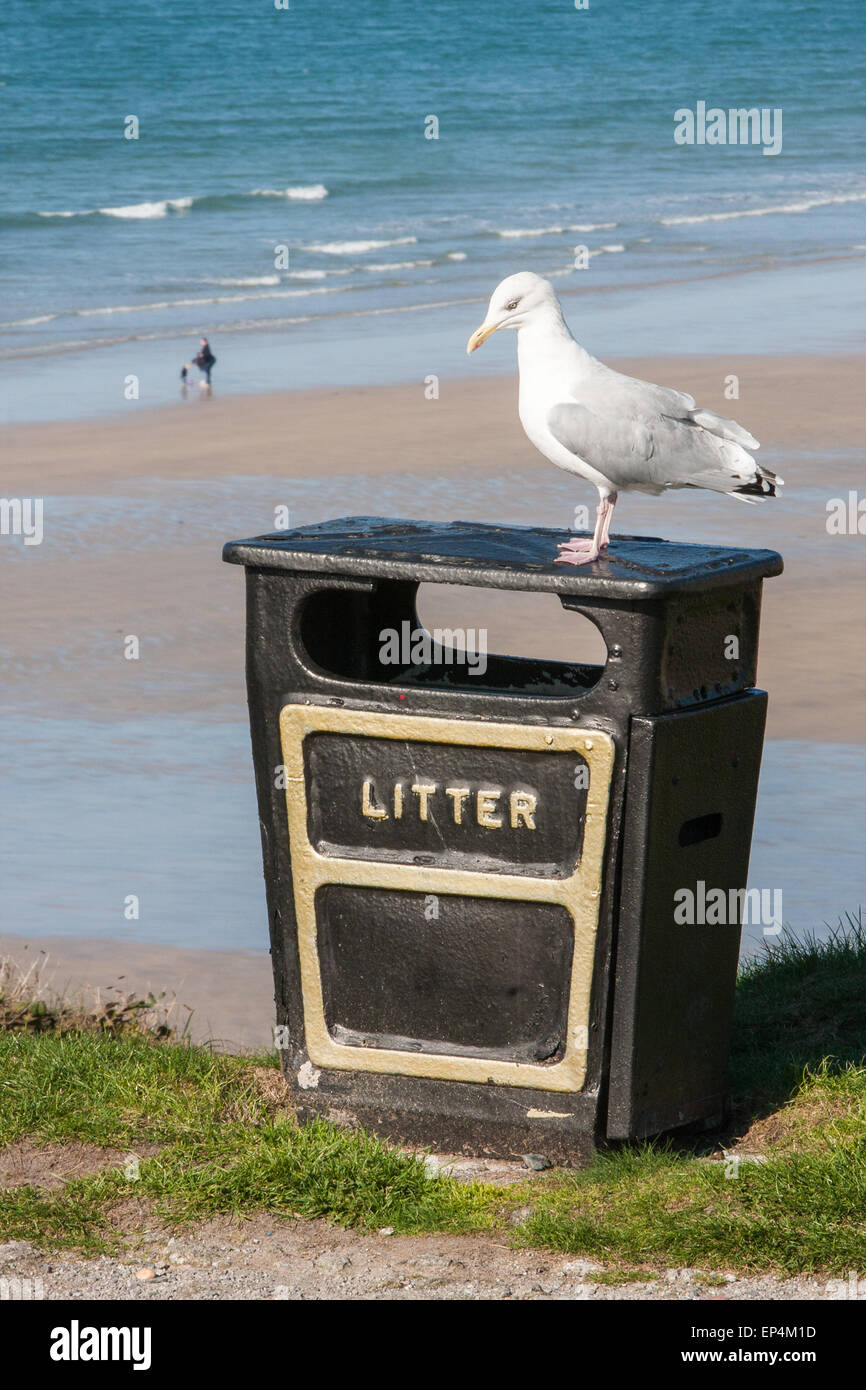 England seaside resort rubbish hi-res stock photography and images - Alamy