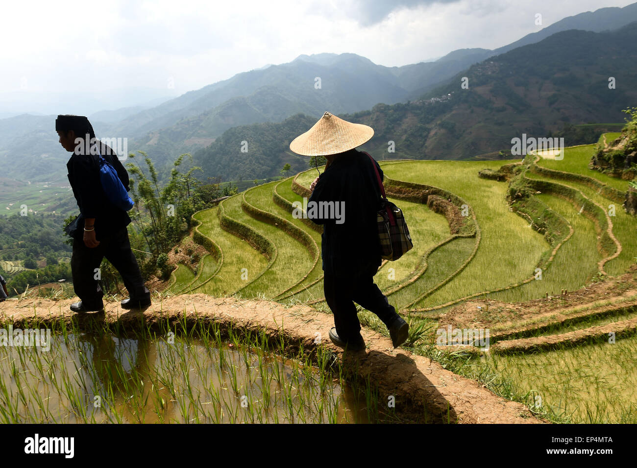 Honghe, Yunnan, China. 13th May, 2015. Villagers of Hani ethnic group ...