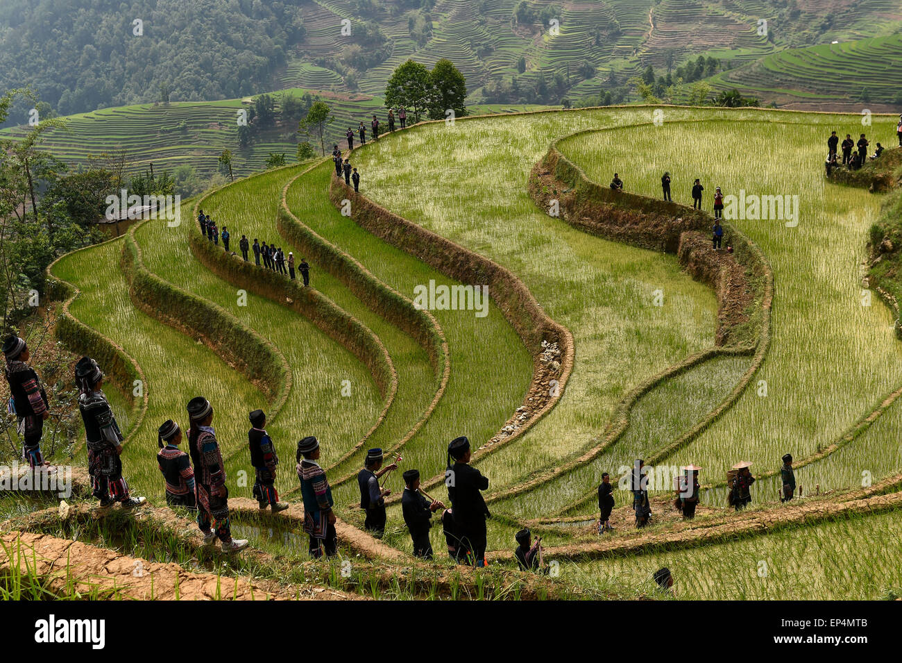 Honghe, Yunnan, China. 13th May, 2015. Villagers of Hani ethnic group ...