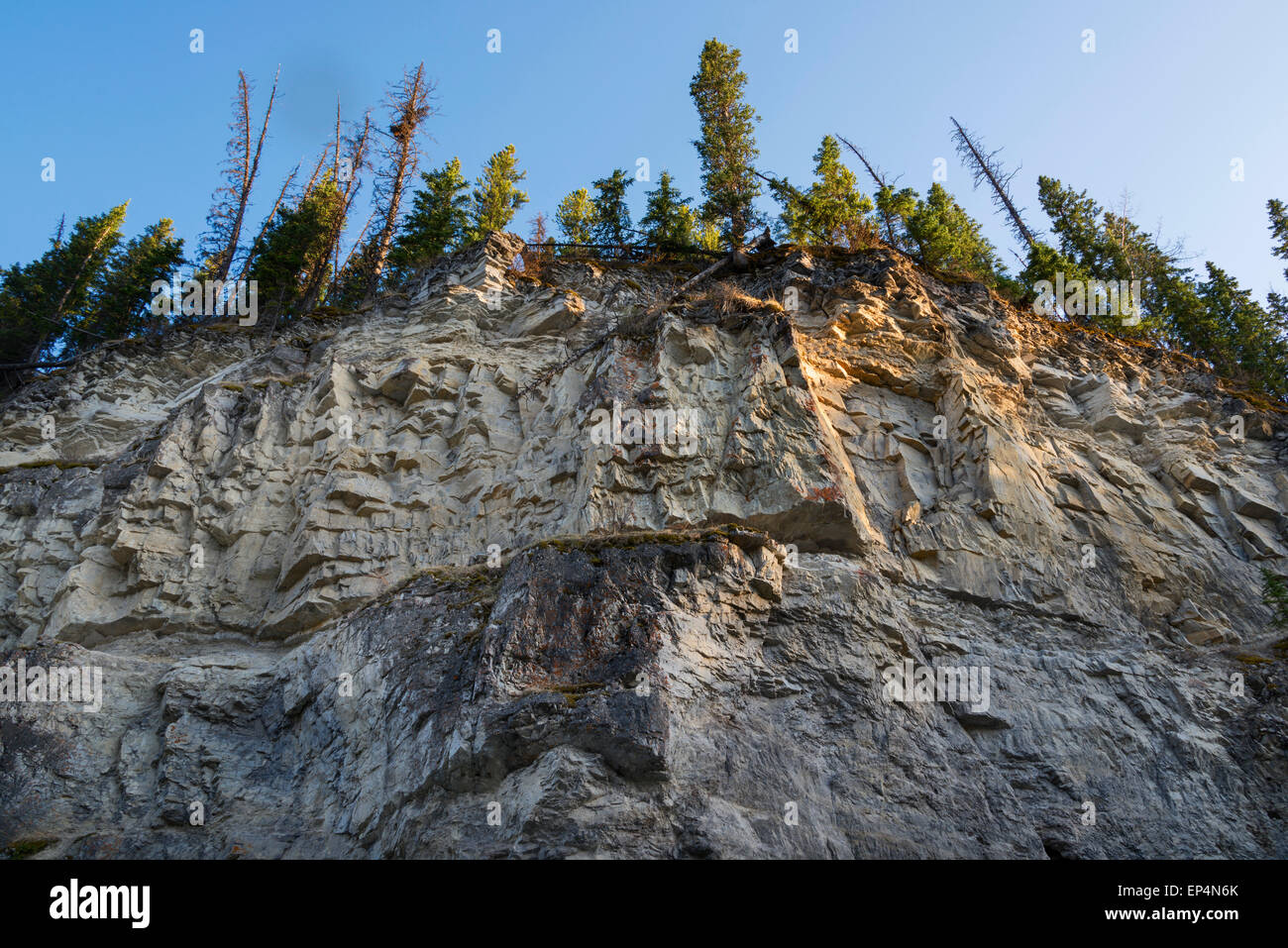 Cliff trees hi-res stock photography and images - Alamy