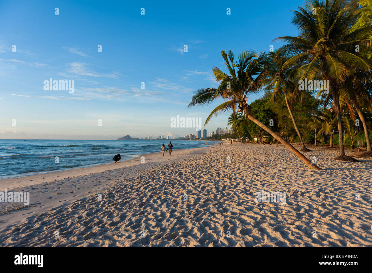 Coconut trees at the beach hi-res stock photography and images - Alamy