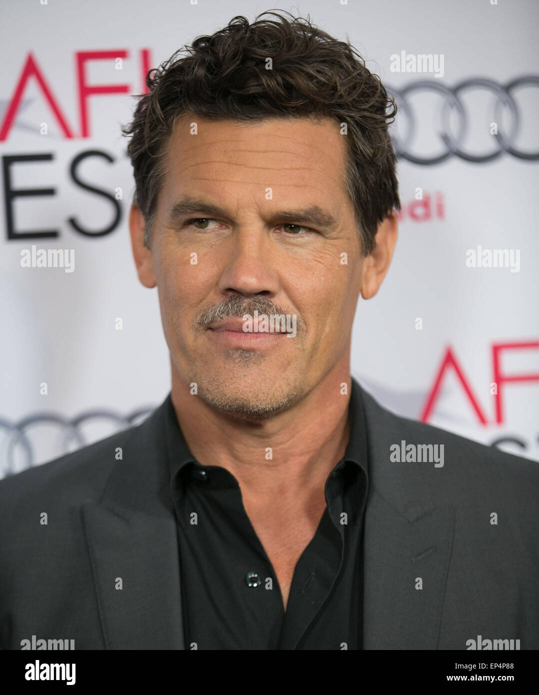 2014 AFI FEST - 'Inherent Vice' - Screening Featuring: Josh Brolin ...