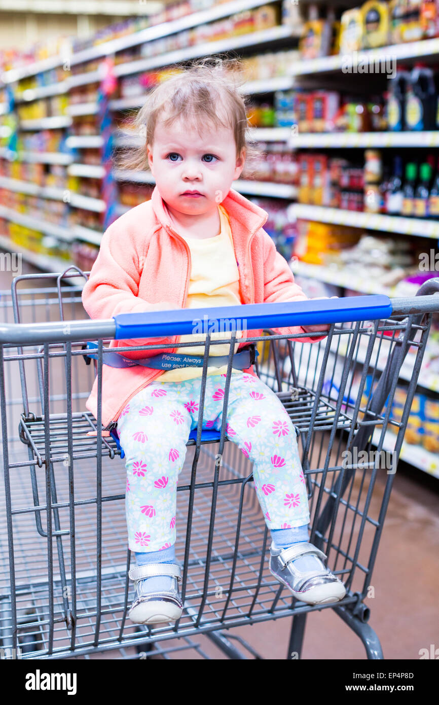 Cute toddler girl sitting in shopping cart at the grocery store Stock ...