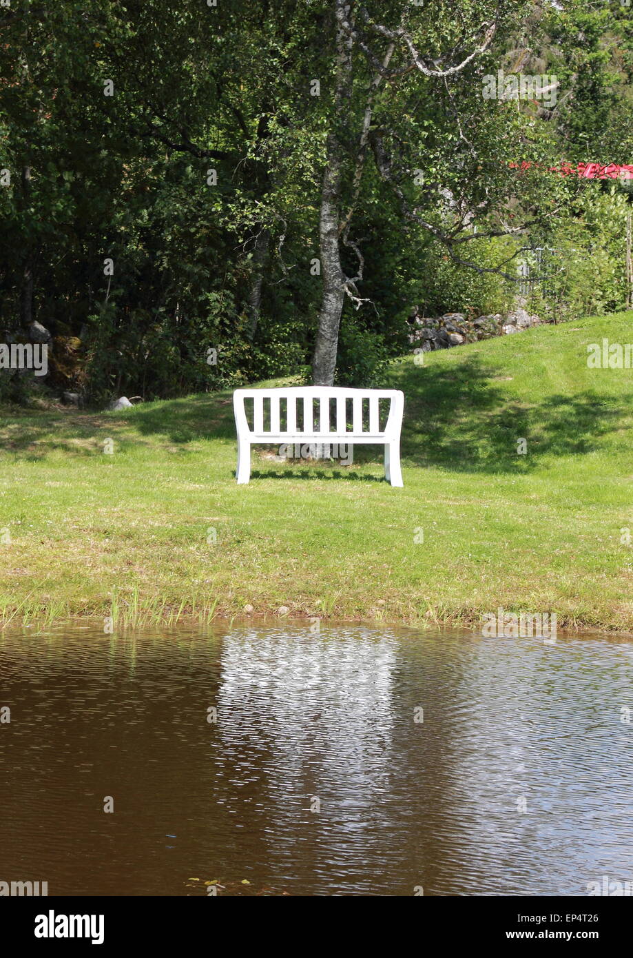 White bench at lake with water reflection Stock Photo - Alamy