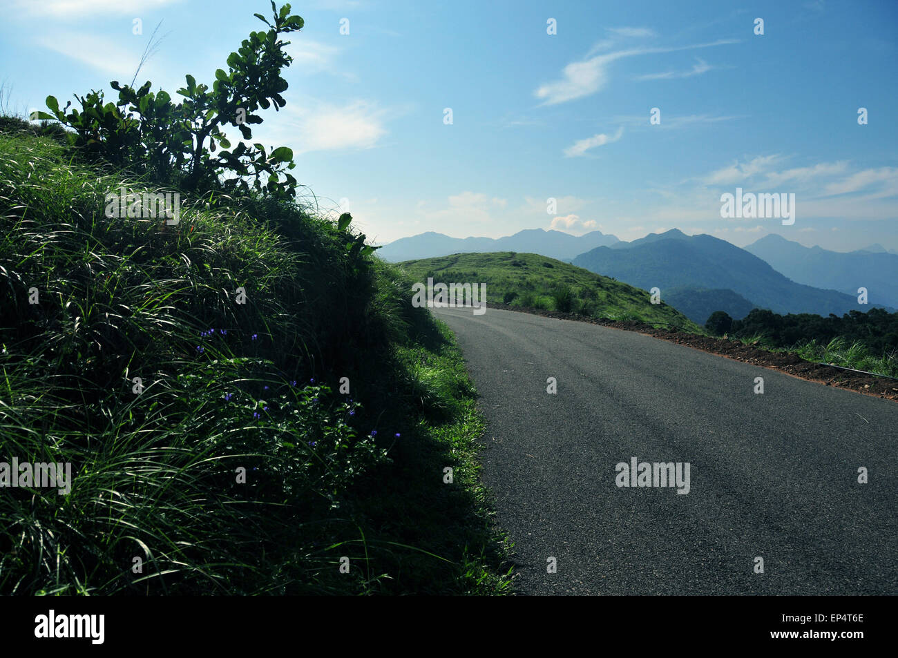 Morning light, blue sky and a road Stock Photo - Alamy