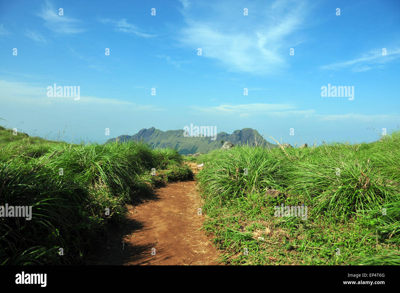 A path way to hill Stock Photo - Alamy