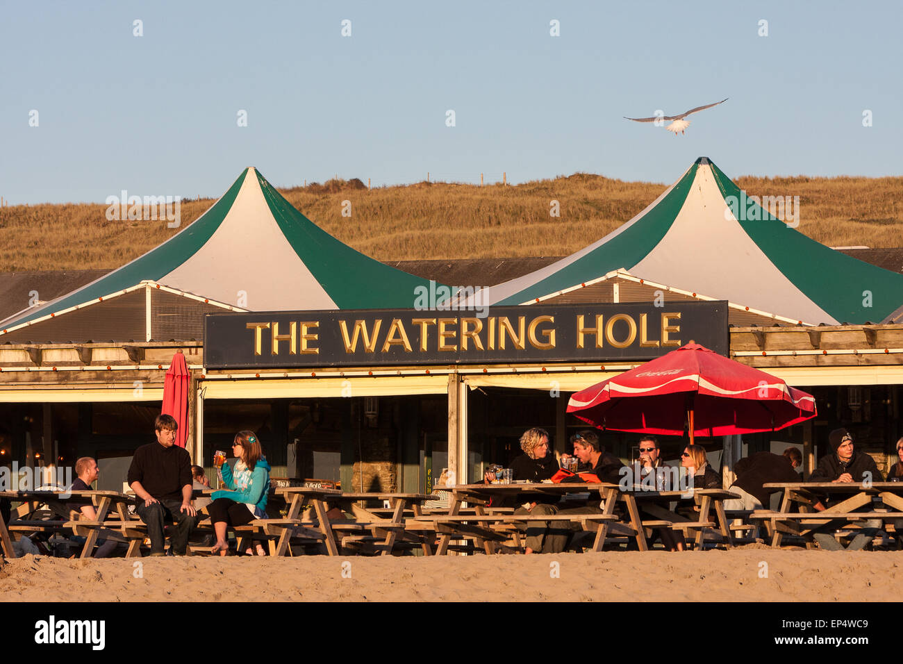 At "The Watering Hole", the U.K's only bar on a beach. Perran Sands ...