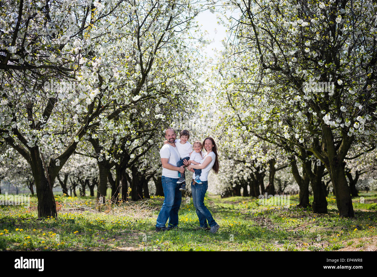 Young happy family in cherry blossom spring garden Stock Photo - Alamy