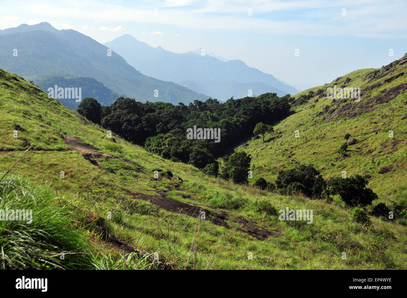 Triangle shaped forest in ponmudi Stock Photo - Alamy