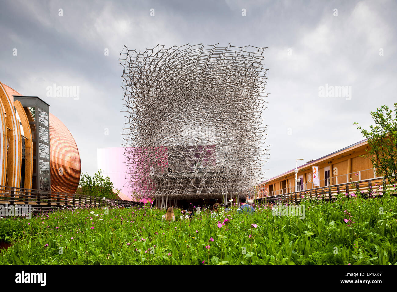 Front elevation through wildflower meadow. Milan Expo 2015, UK Pavilion ...