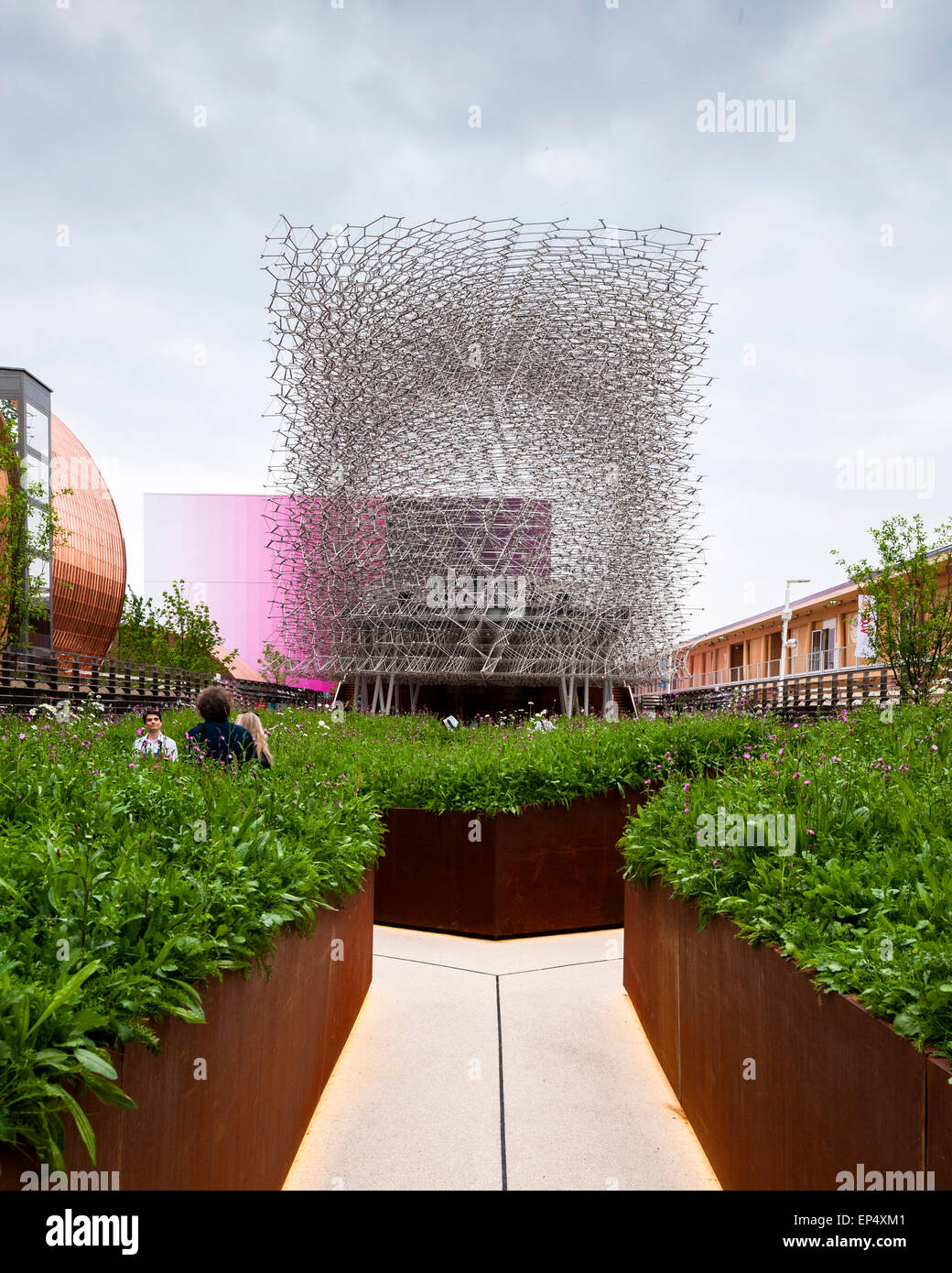 Front elevation with wildflower meadow. Milan Expo 2015, UK Pavilion ...