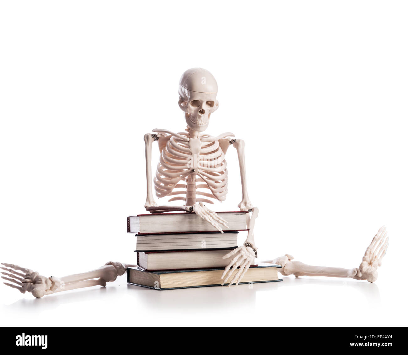 Skeleton with books isolated on white Stock Photo - Alamy