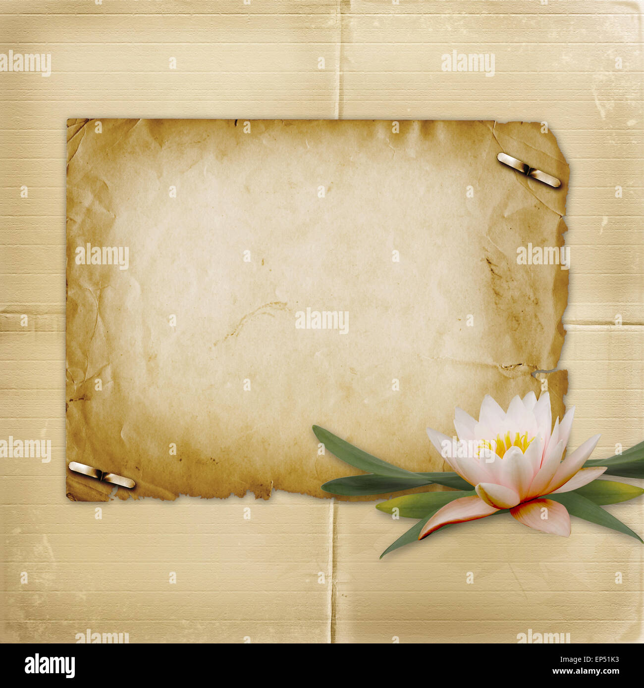 Vintage postcard for invitation with bunch of water lily Stock Photo ...