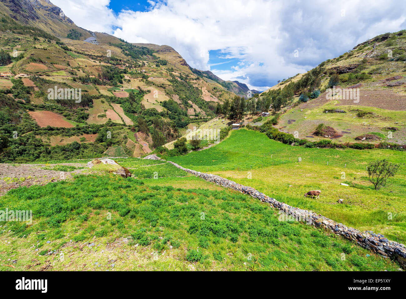 Hilly landscape on the Santa Cruz Trek near Huaraz, Peru Stock Photo ...