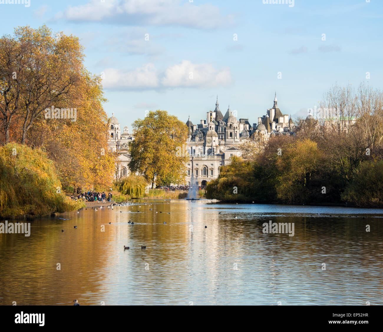 Fall autumn season in the forest Stock Photo - Alamy