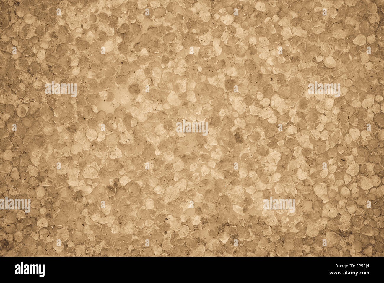 Nature blur background in light brown color tone Stock Photo - Alamy