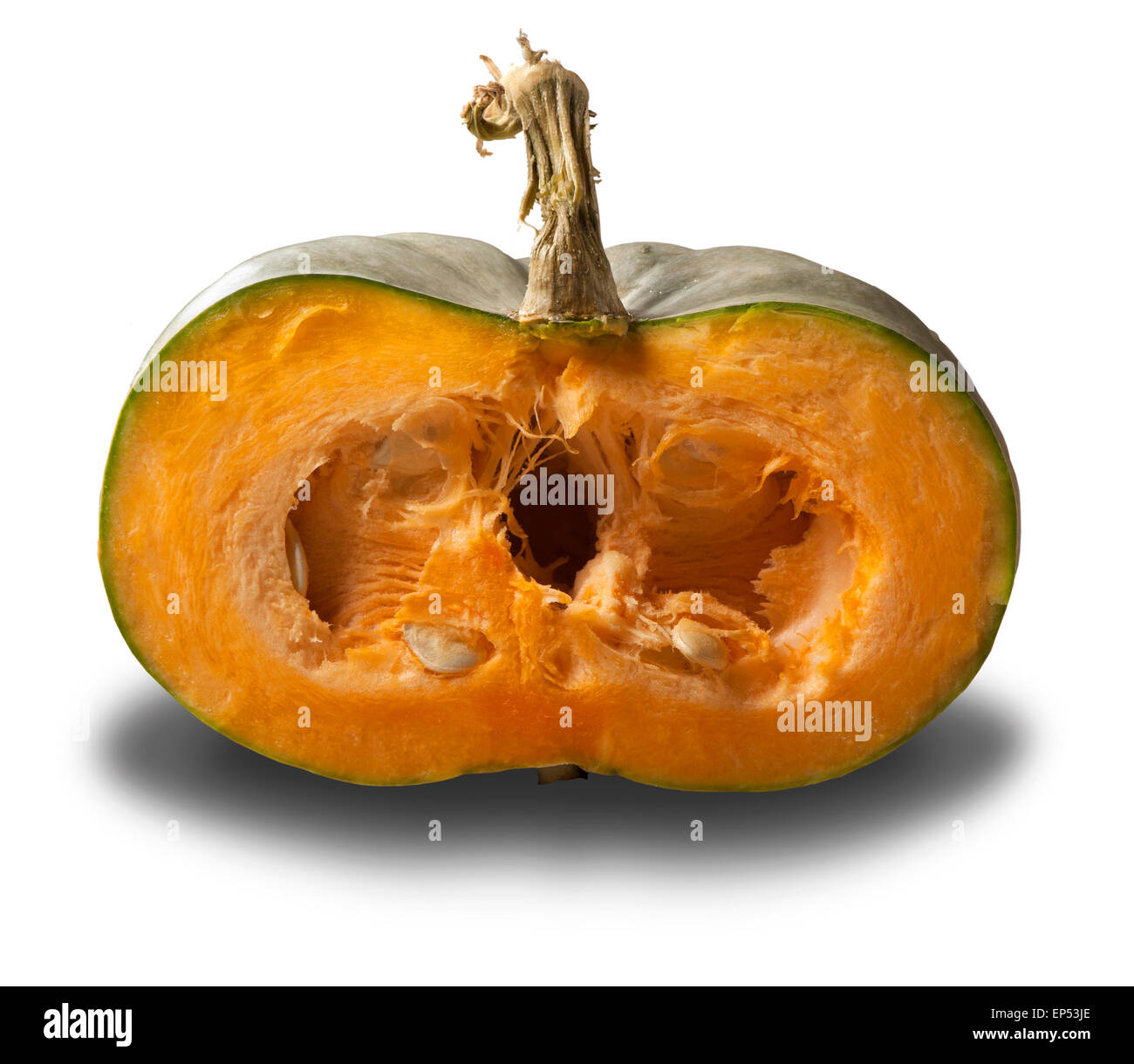 Pumpkin(Cucurbita pepo).The background is white Stock Photo - Alamy
