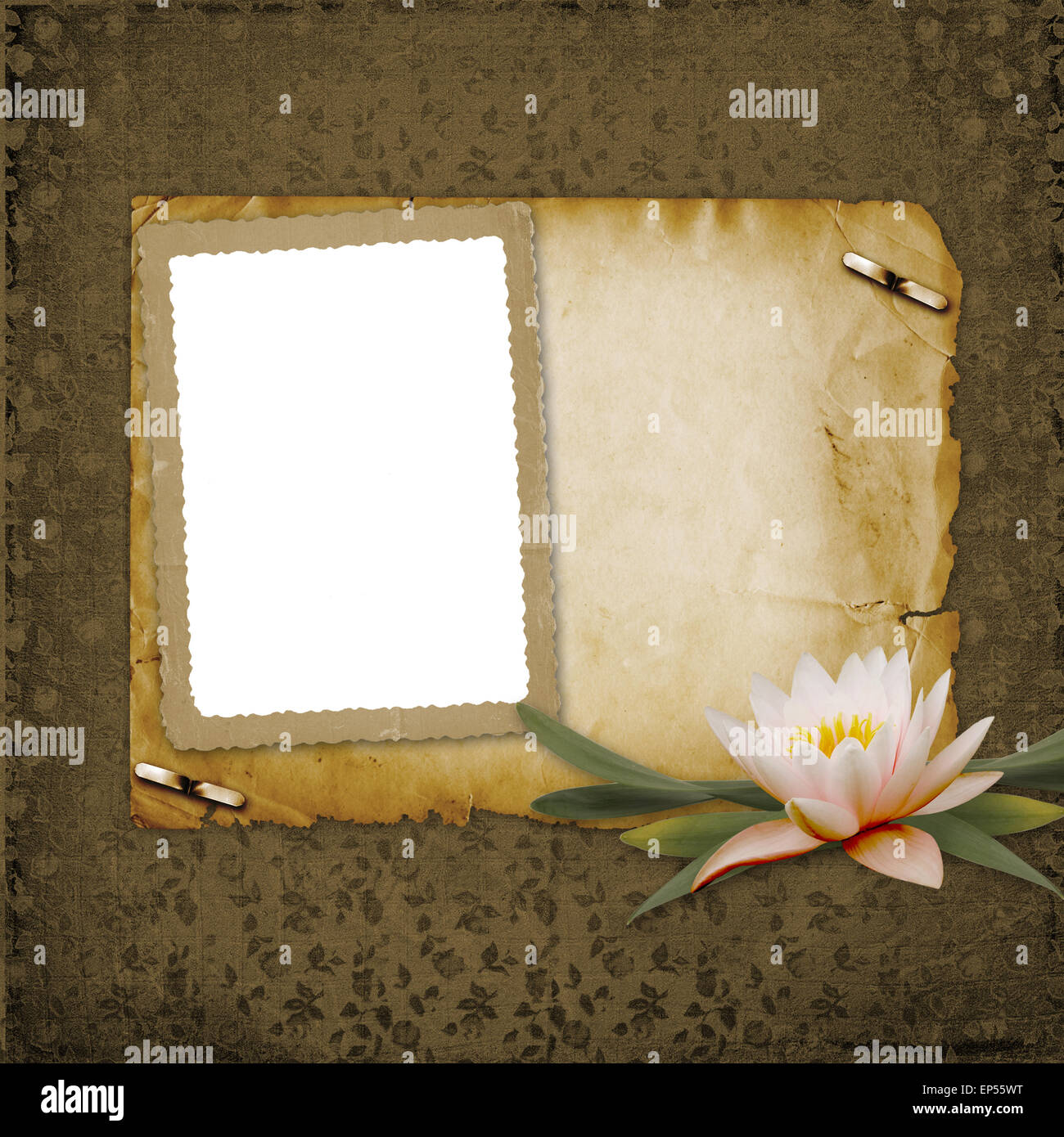 Vintage postcard for invitation with bunch of water lily Stock Photo ...