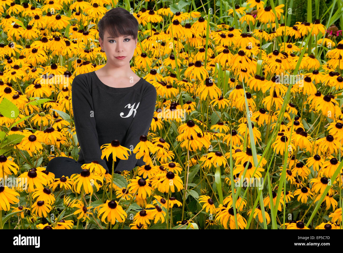 Black Eyed Susan Field