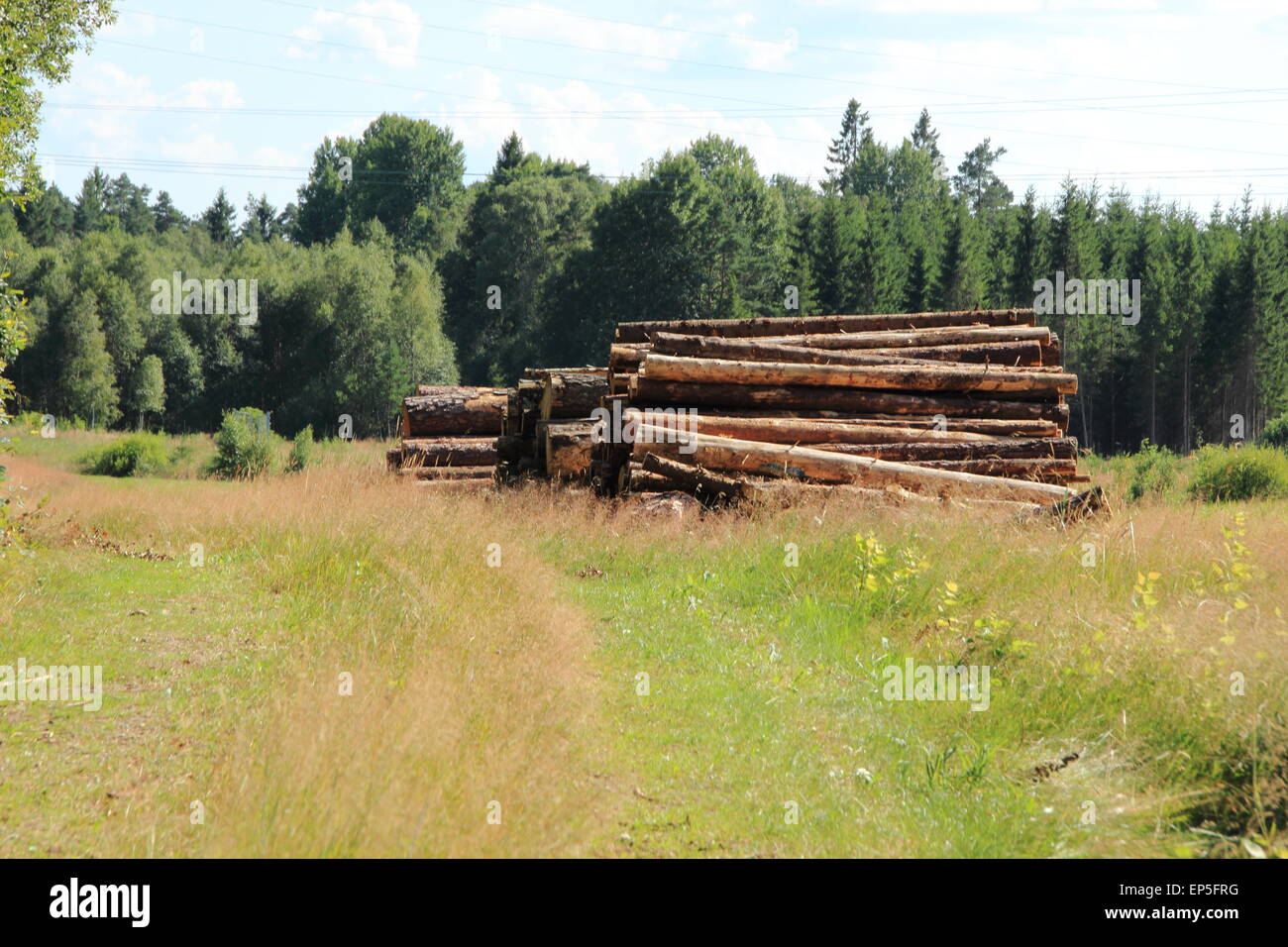 Timber log hi-res stock photography and images - Alamy